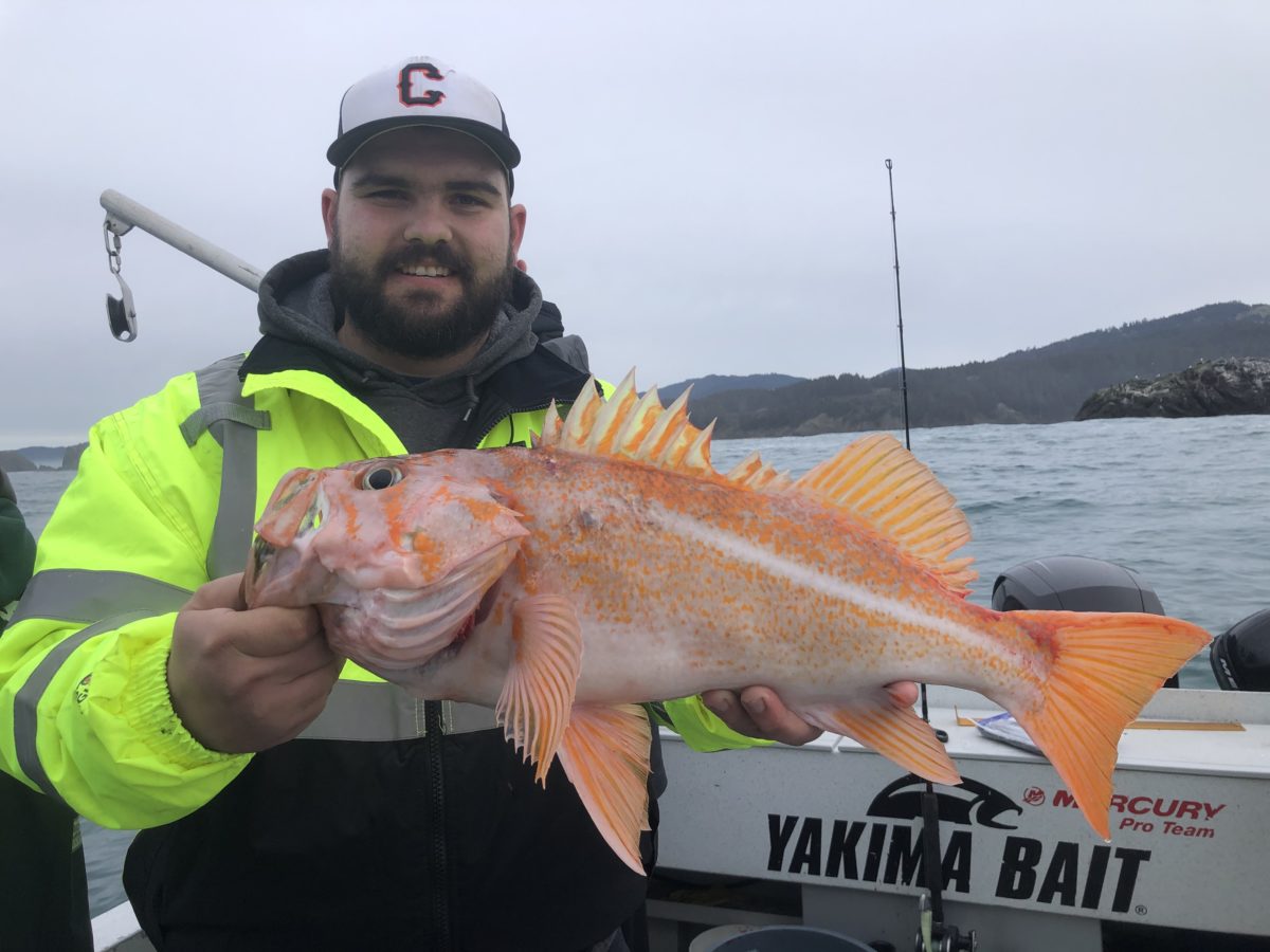 Lingcod, rockfish biting off of Brookings - Brookings Fishing Reports