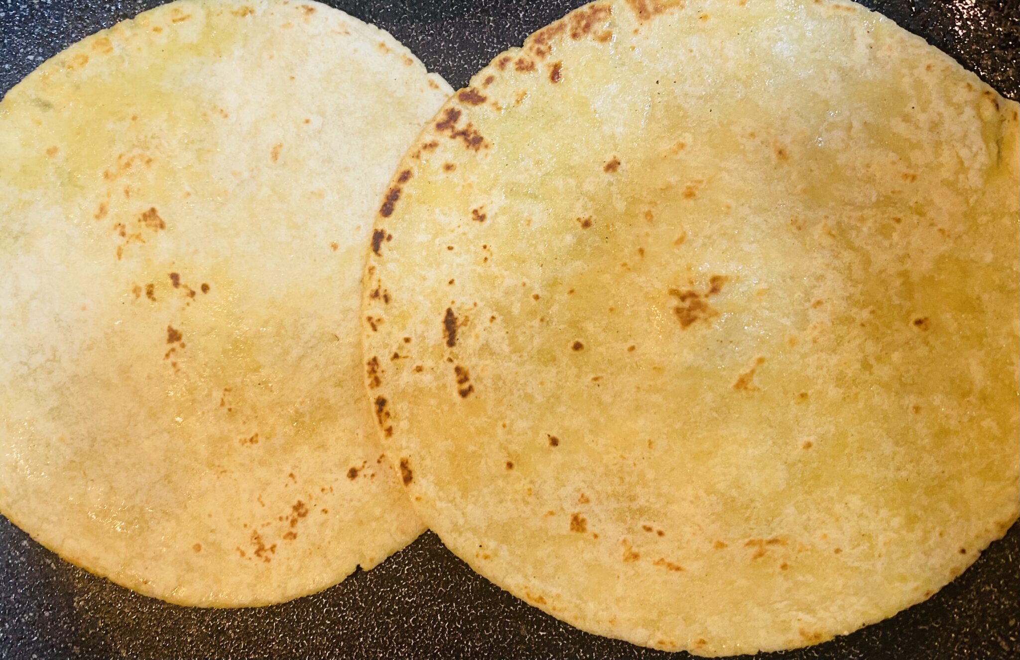 Delicious Fish Taco Recipe - Brookings Fishing Reports