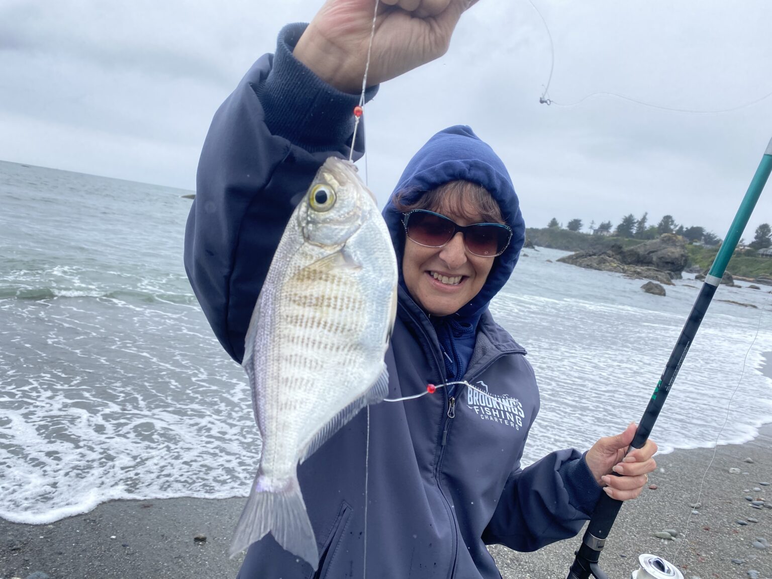 Surfperch easy to catch, abundant at beaches around Brookings ...