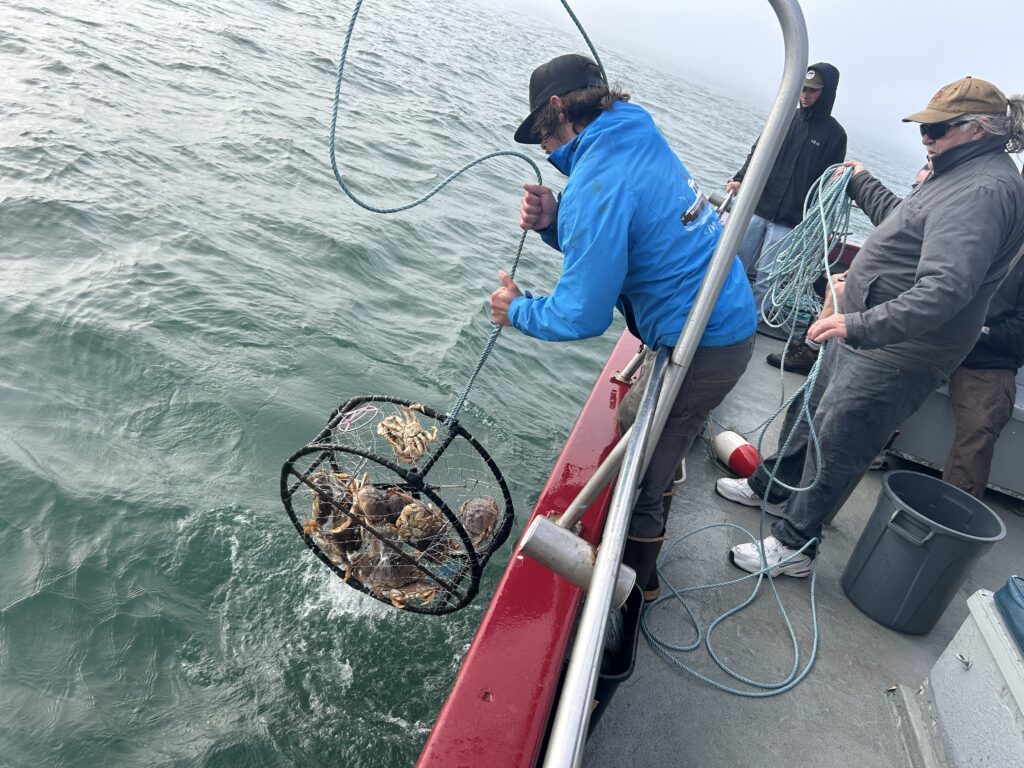 2026 bottom fish regs Archives - Brookings Fishing Reports